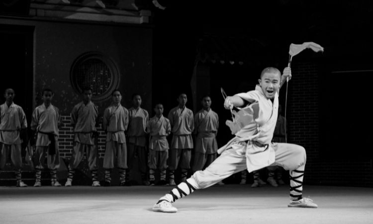 Teoria de Zang Fu: Um Guia Completo | Escola Mare Nostrum